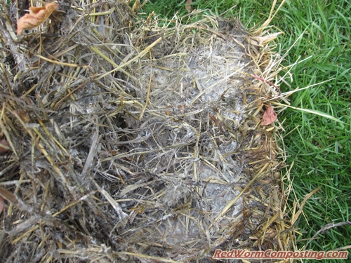 Dealing with moldy hay | Kansas Forage and Grassland Council